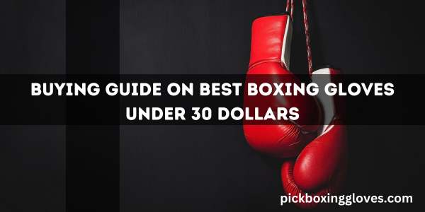 Best Boxing Gloves under $30 - Top 10 Gloves In 2024